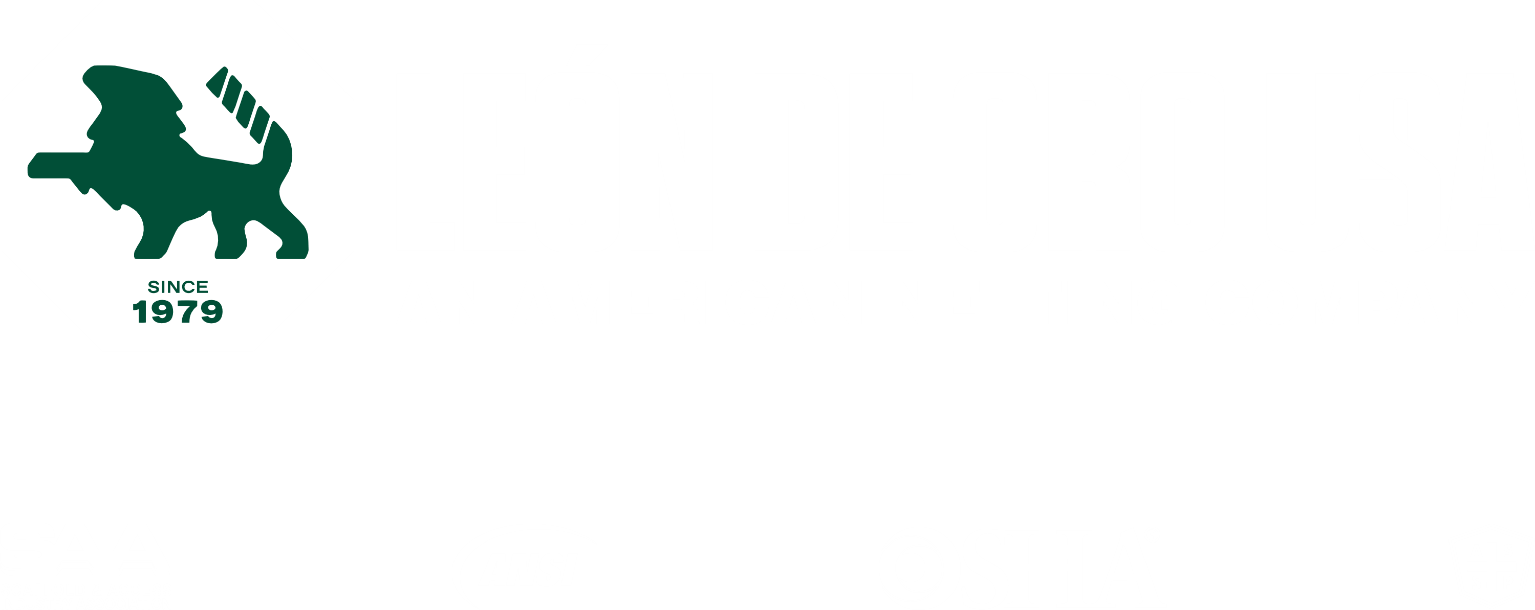 Polyethylene (HDPE) Netting - Leon De Oro