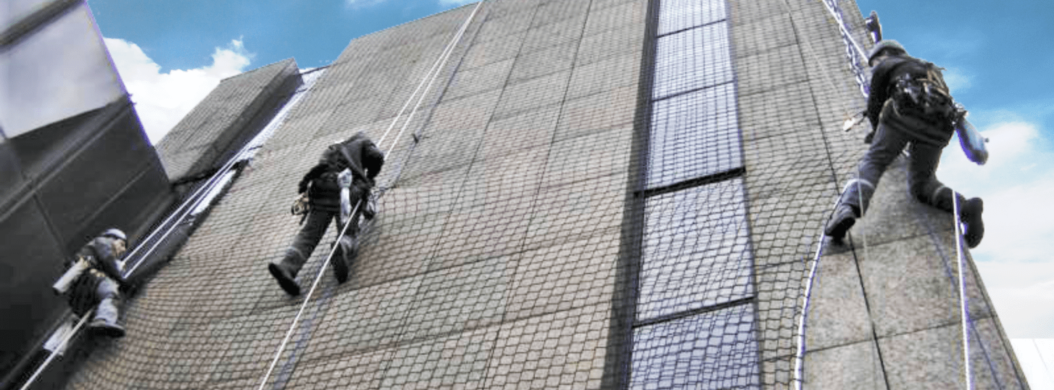 Safety Netting - Leon De Oro